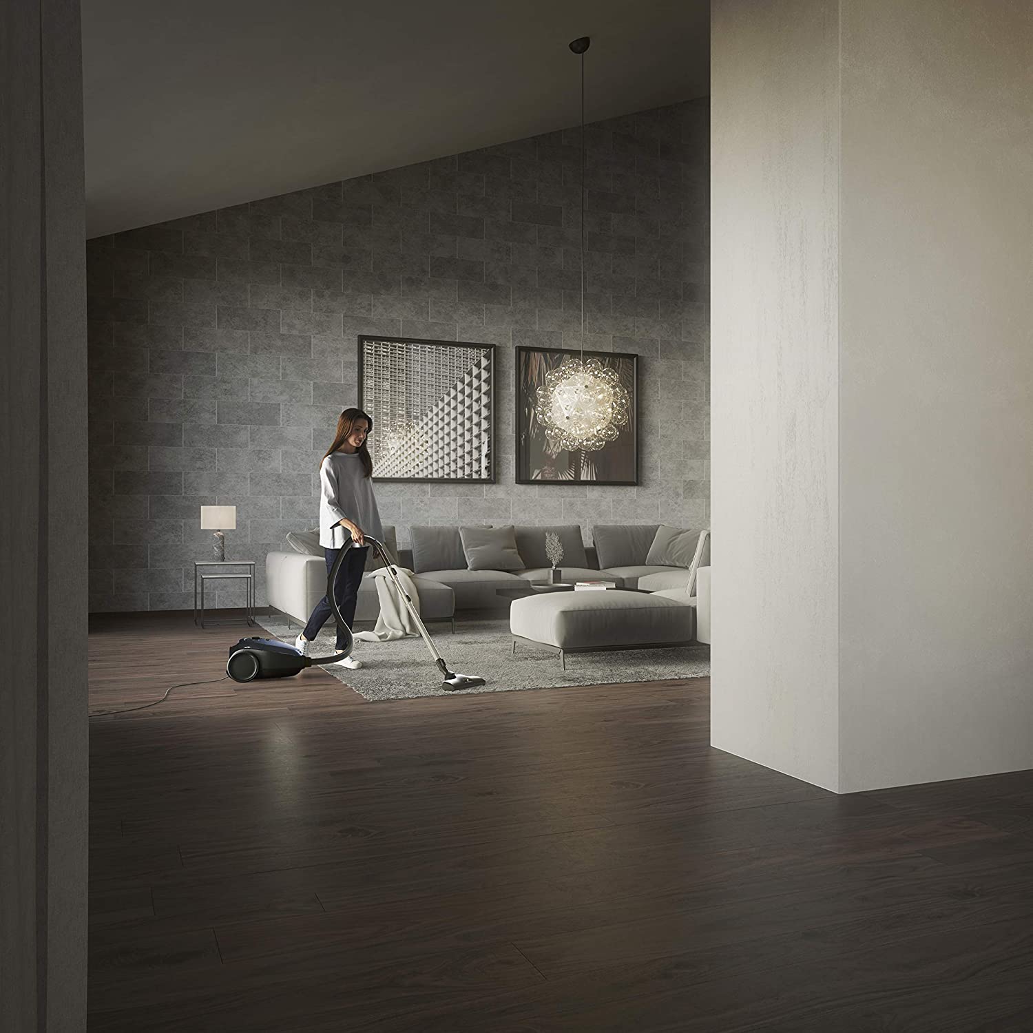 جارو برقی اسمارت آاگ/VX82-1-2ST AEG - قیمت مشخصات خرید